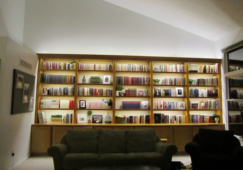 Inspired LED- Bookcase Lighting - Modern - Living Room - Phoenix - by ... Inspired LED- Bookcase Lighting - Modern - Living Room - Phoenix - by ...