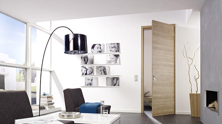 Interior Doors - Modern - Living Room - Miami - by Bartels Doors ...