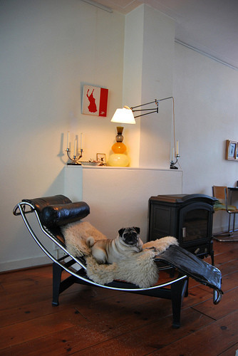 LC4 lounge - Contemporary - Living Room - Los Angeles - by Regencyshop ...