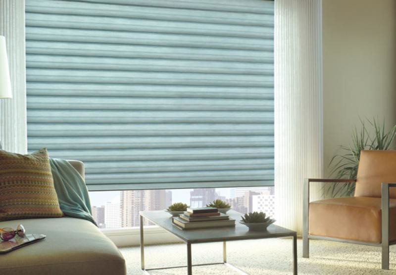 Living Room Shades - Modern - Living Room - Baltimore - by Window ...