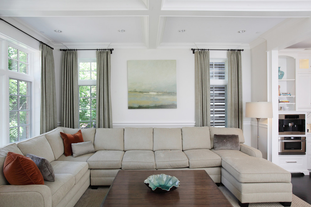 Living Space - Transitional - Living Room - Chicago - by PLD Homes | Houzz