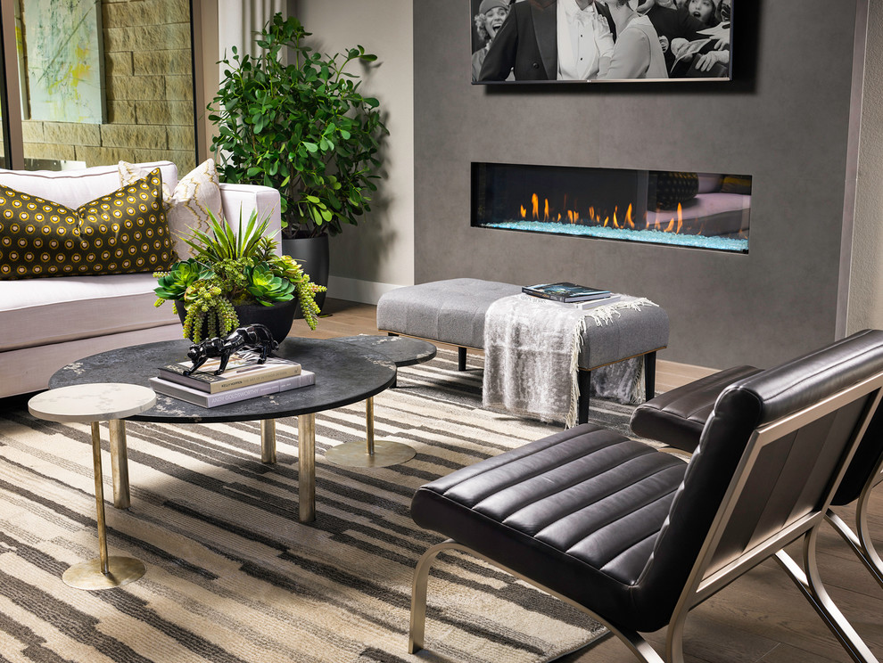 Luxe 2 - Contemporary - Living Room - Denver - by Hri Design | Houzz
