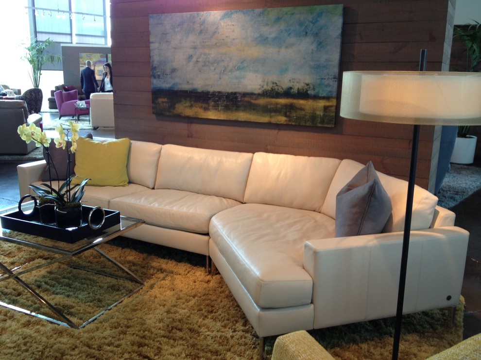 Marvelous Mixed Contemporary Styling - Living Room - Phoenix - by ...
