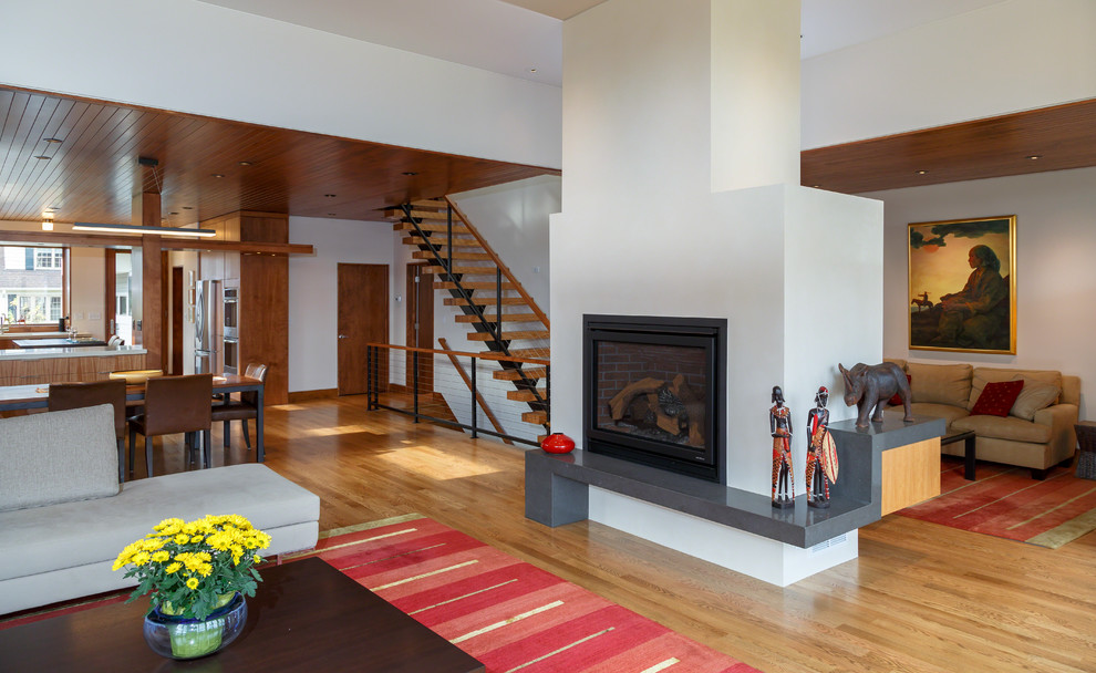 Minnehaha Modern - Minneapolis, MN - Modern - Living Room - Minneapolis ...