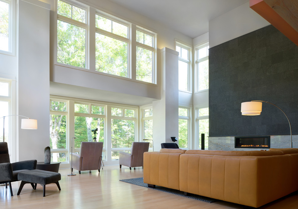 Modern Craft - Modern - Living Room - Minneapolis - by Nor-Son Custom ...