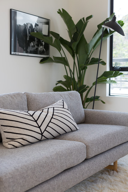 Modern Gray Sofa With Pam Tree And Bandw Photography Modern Living