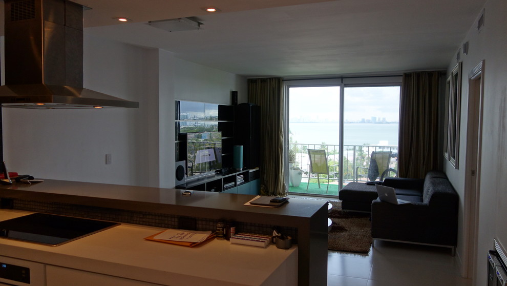Modern Miami Beach Condo Remodel - Modern - Living Room - Miami - by CD ...