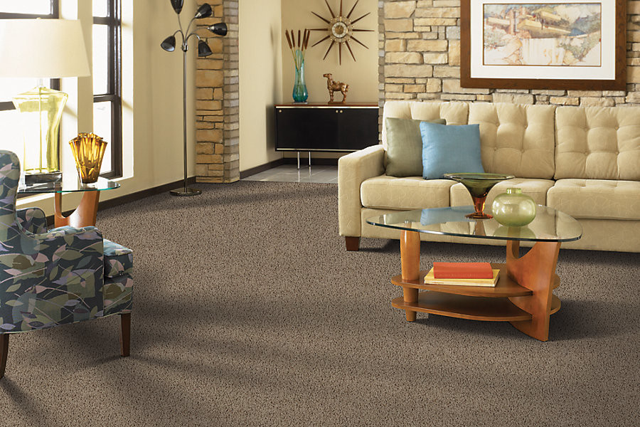 Mohawk - Transitional - Living Room - Oklahoma City - by Brewer Carpet ...
