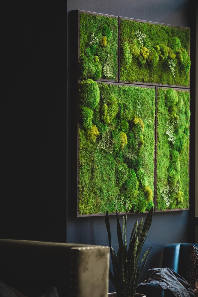 Moss wall, vertical garden - Modern - Living Room - Santa Barbara - by ...