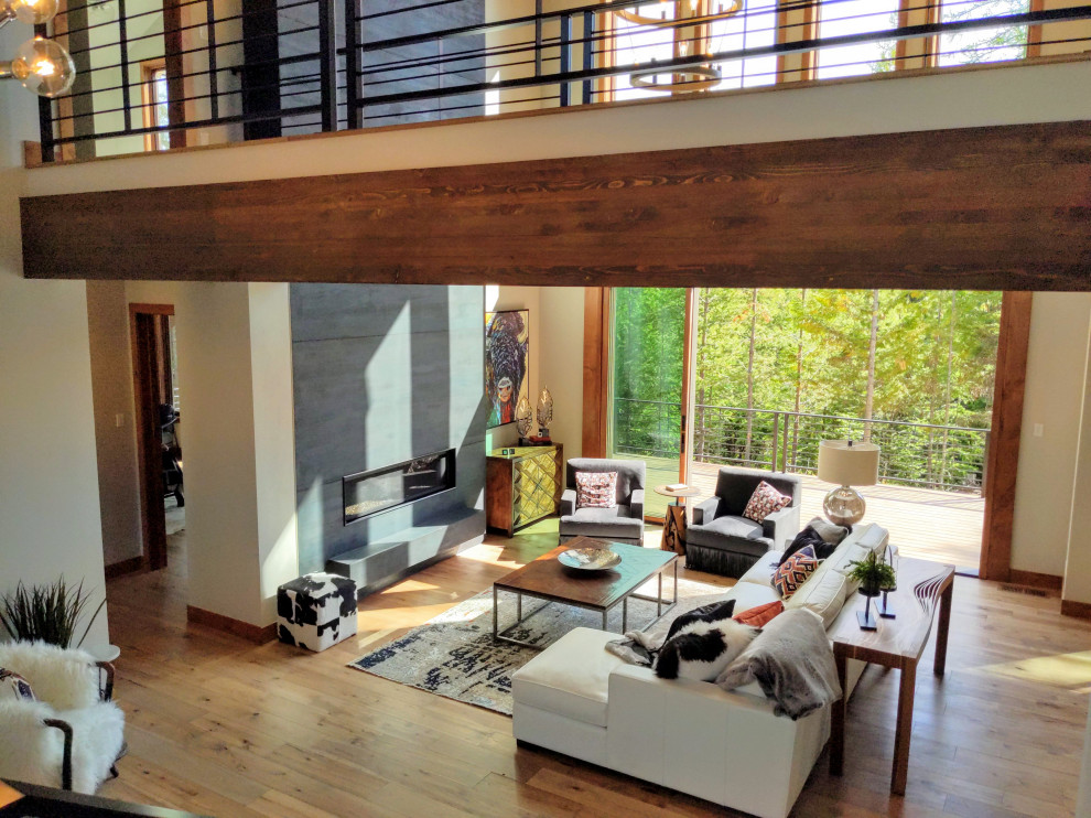 Mountain Modern Home Staging Project - Contemporary - Living Room ...