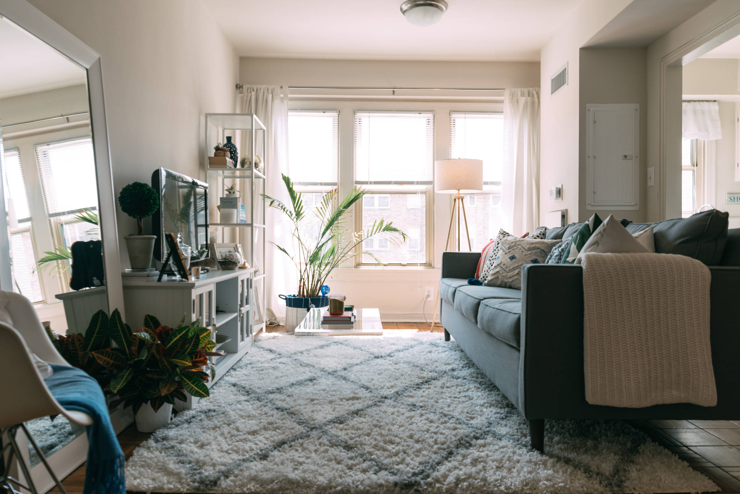 My Houzz: A Sunlit 525-Square-Foot Studio in Downtown D.C.