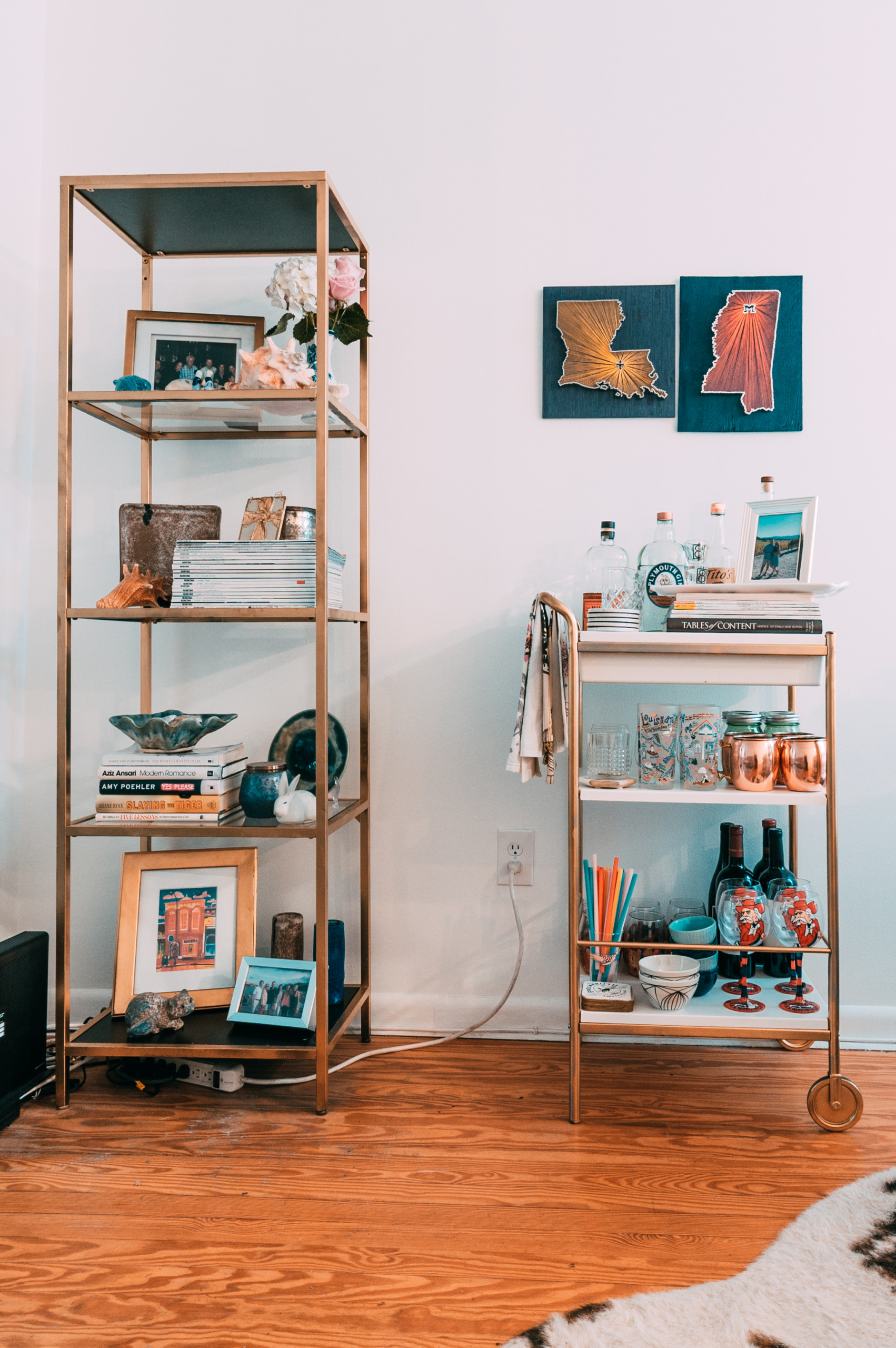 My Houzz: Cozy, Clean Style in a D.C. Row House Apartment