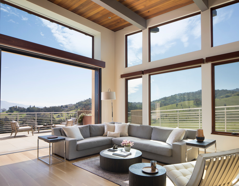 New Home Build - Modern - Living Room - San Francisco - by Cerami ...