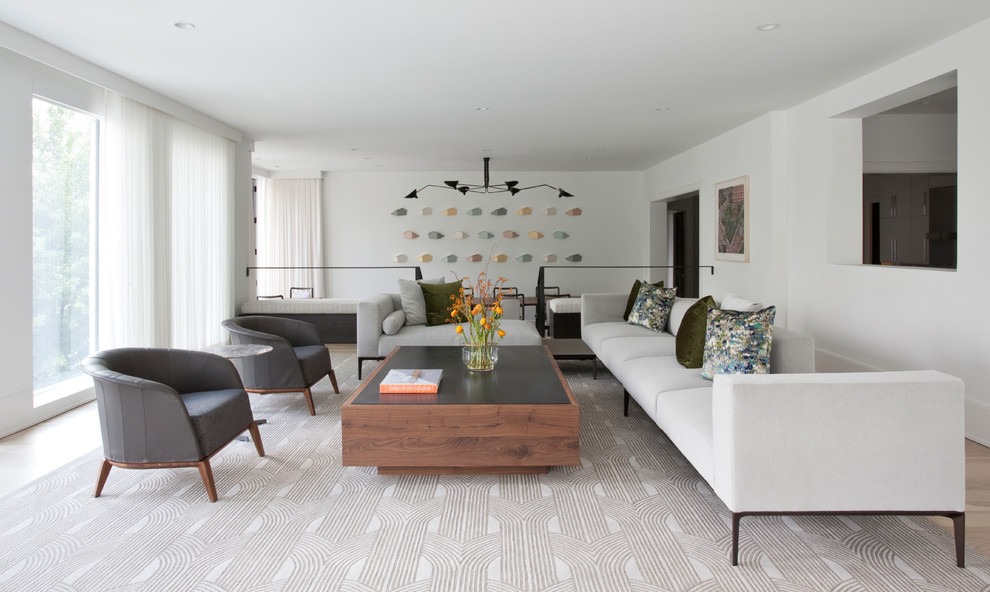 One Museum Place - Contemporary - Living Room - Atlanta - by j witzel ...