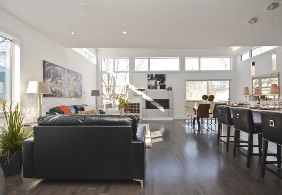 Original - Modern - Living Room - Ottawa - by NEOTERIC DEVELOPMENTS | Houzz