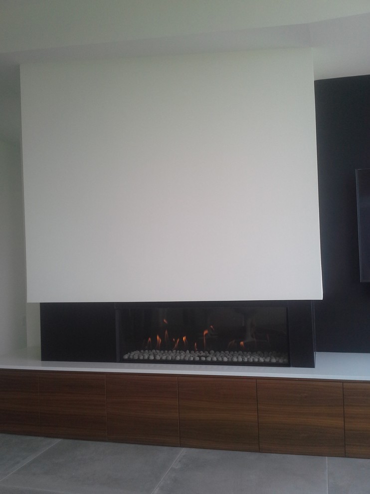 Ortal 110 - Modern - Living Room - Minneapolis - by Woodland Stoves and ...