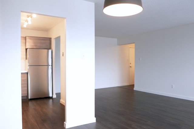 Our Portfolio - Modern - Living Room - Toronto - by DT Contracting ...