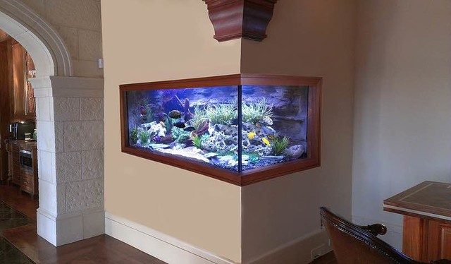 Our Work - Moderne - Salon - Austin - par Aquatic Interiors Unlimited INC