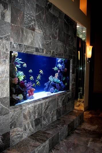 Our Work - Modern - Living Room - Austin - by Aquatic Interiors ...