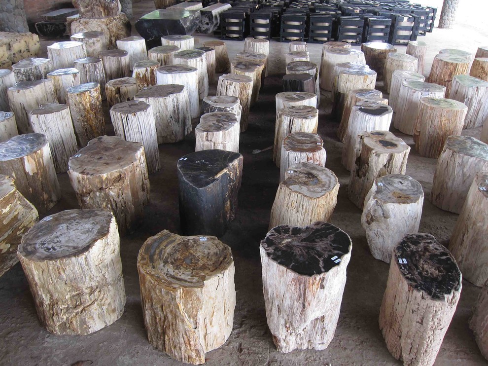 PETRIFIED WOOD - Rustic - Living Room - San Diego - by IndoGemstone | Houzz
