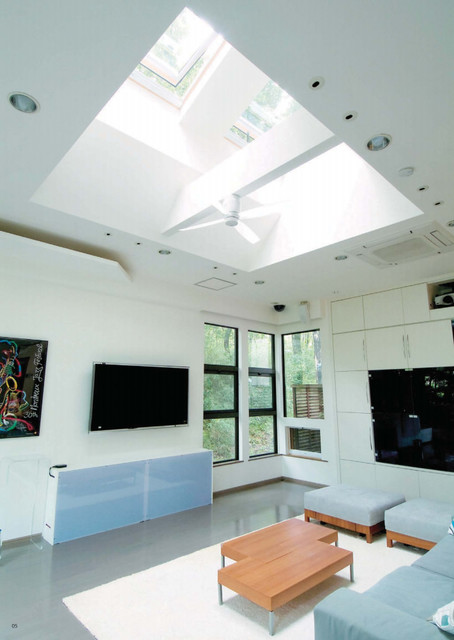 Pitched Roof Windows in Home Extensions and Loft Conversions ...