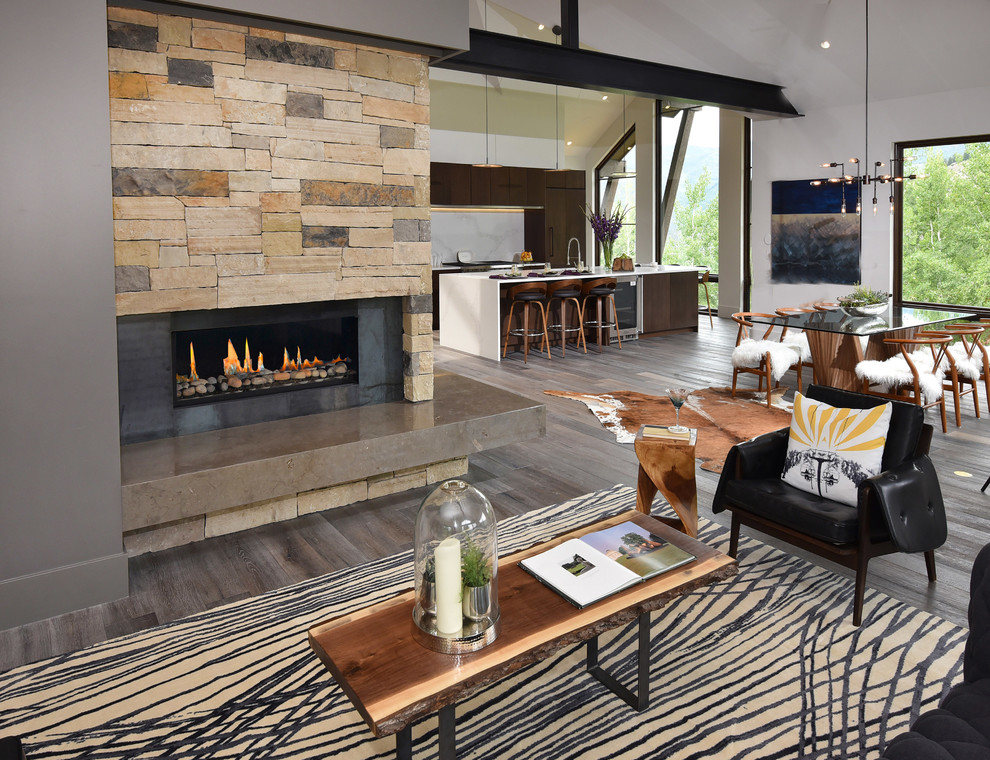 Resort Contemporary - Contemporary - Living Room - Denver - by Alm ...