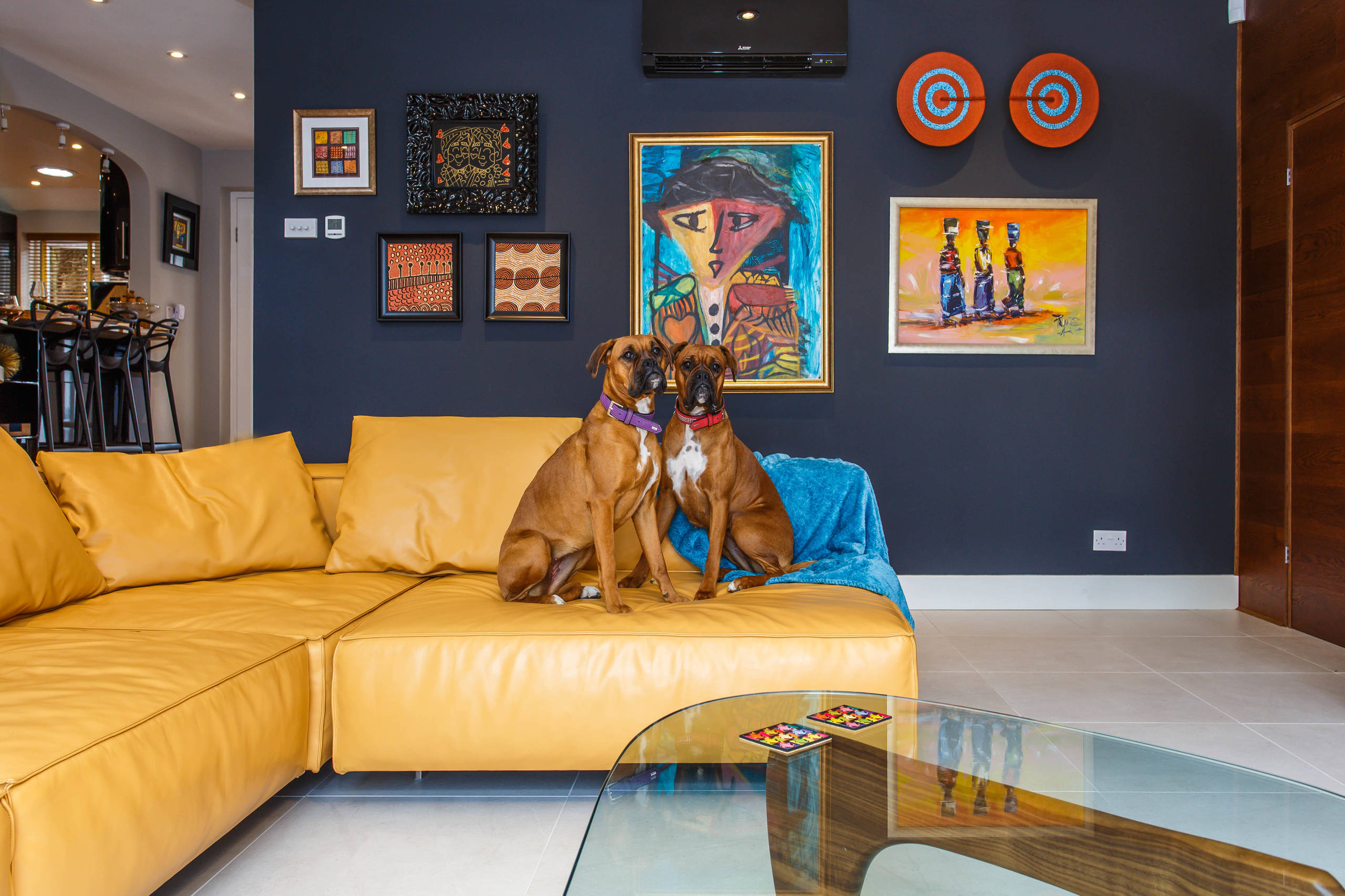 11 Dogs Who Complement Their Interiors Beautifully | Houzz UK