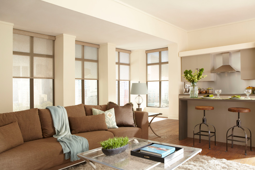 Roller Shades for Luxurious Living - Living Room - Other - by Budget ...