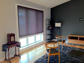 Roller Shades - Transitional - Living Room - Other - by Makers Custom ...
