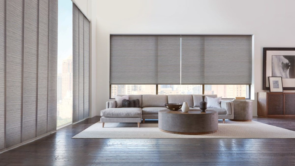 Skyline® Gliding Window Panels & Roller Shade - Contemporary - Living ...