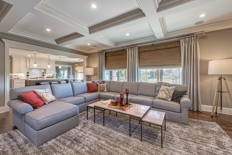 Stately Living - Traditional - Living Room - Chicago - by Coyle ...