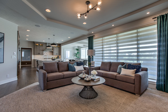 Street Of Dreams OMAHA - コンテンポラリー - リビング - オマハ - Thomas David Fine ...