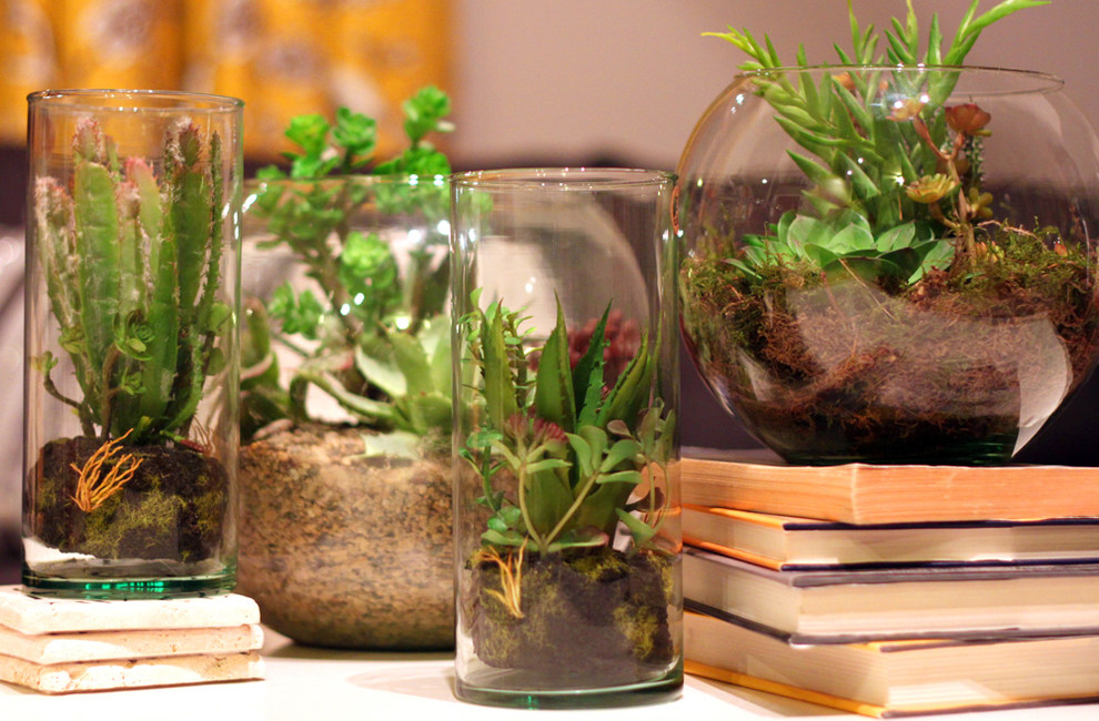 Terrarium - Modern - Living Room - Milwaukee - by Willard & May | Houzz