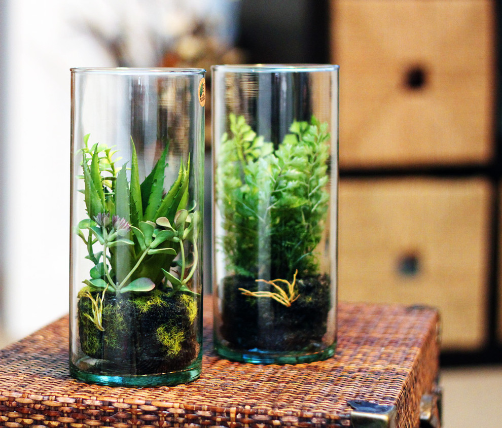 Terrariums - Modern - Living Room - Milwaukee - by Willard & May | Houzz