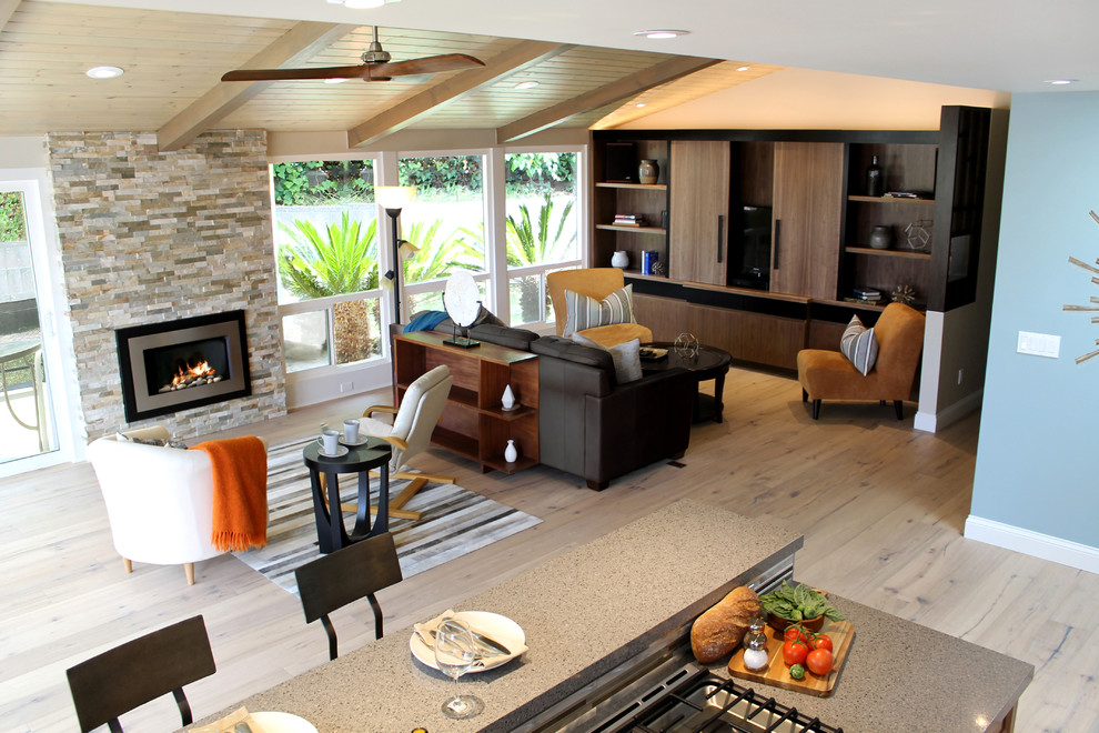 The Transitional Mid-Century Home - Transitional - Living Room - Los ...