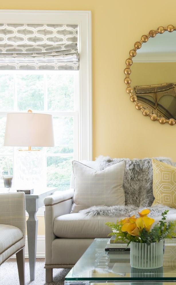 Transitional Beauty - Transitional - Living Room - DC Metro - by Dalia ...