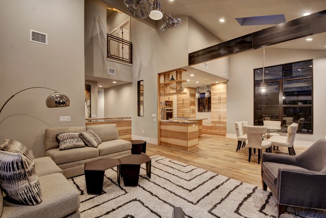 Travis Heights Renovation - Contemporary - Living Room - Austin - by ...