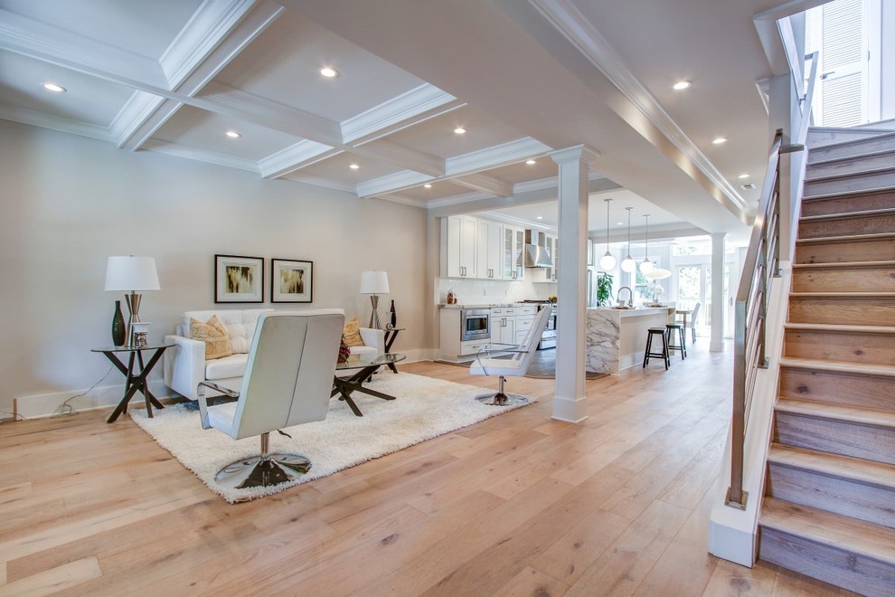 Washington DC - Open Living Spaces - Transitional - Living Room - DC ...