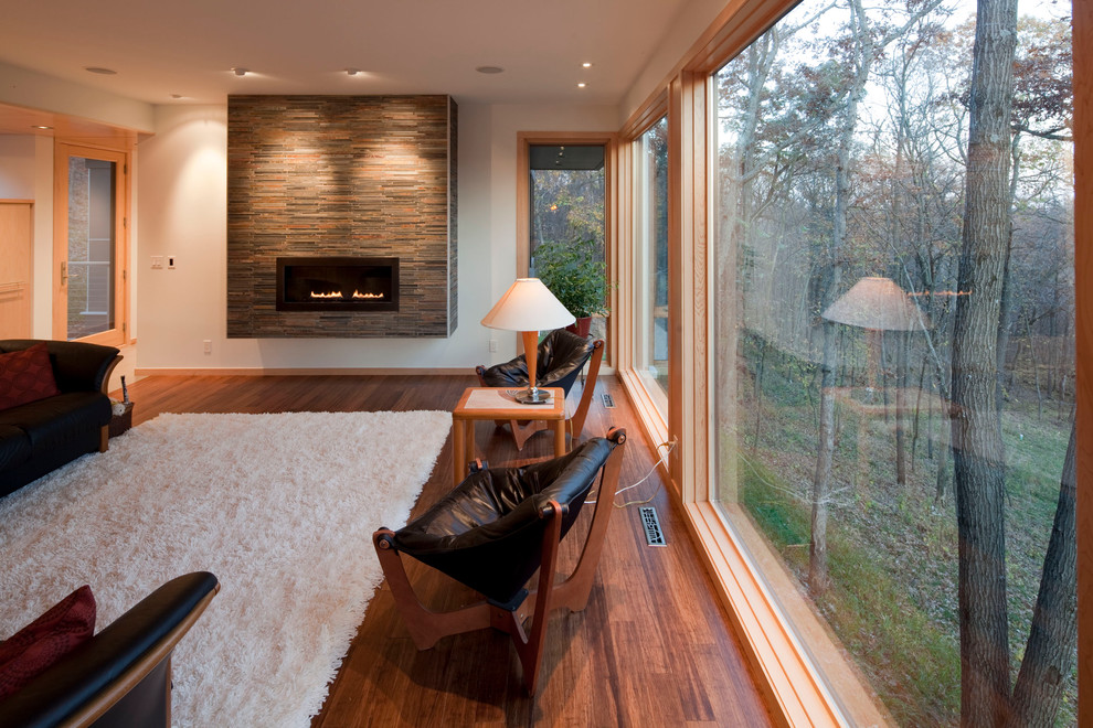 zumbro zen - Modern - Living Room - Minneapolis - by SALA Architects ...