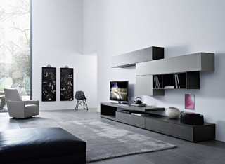 zwall - Modern - Living Room - New York - by AKO Design Center | Houzz