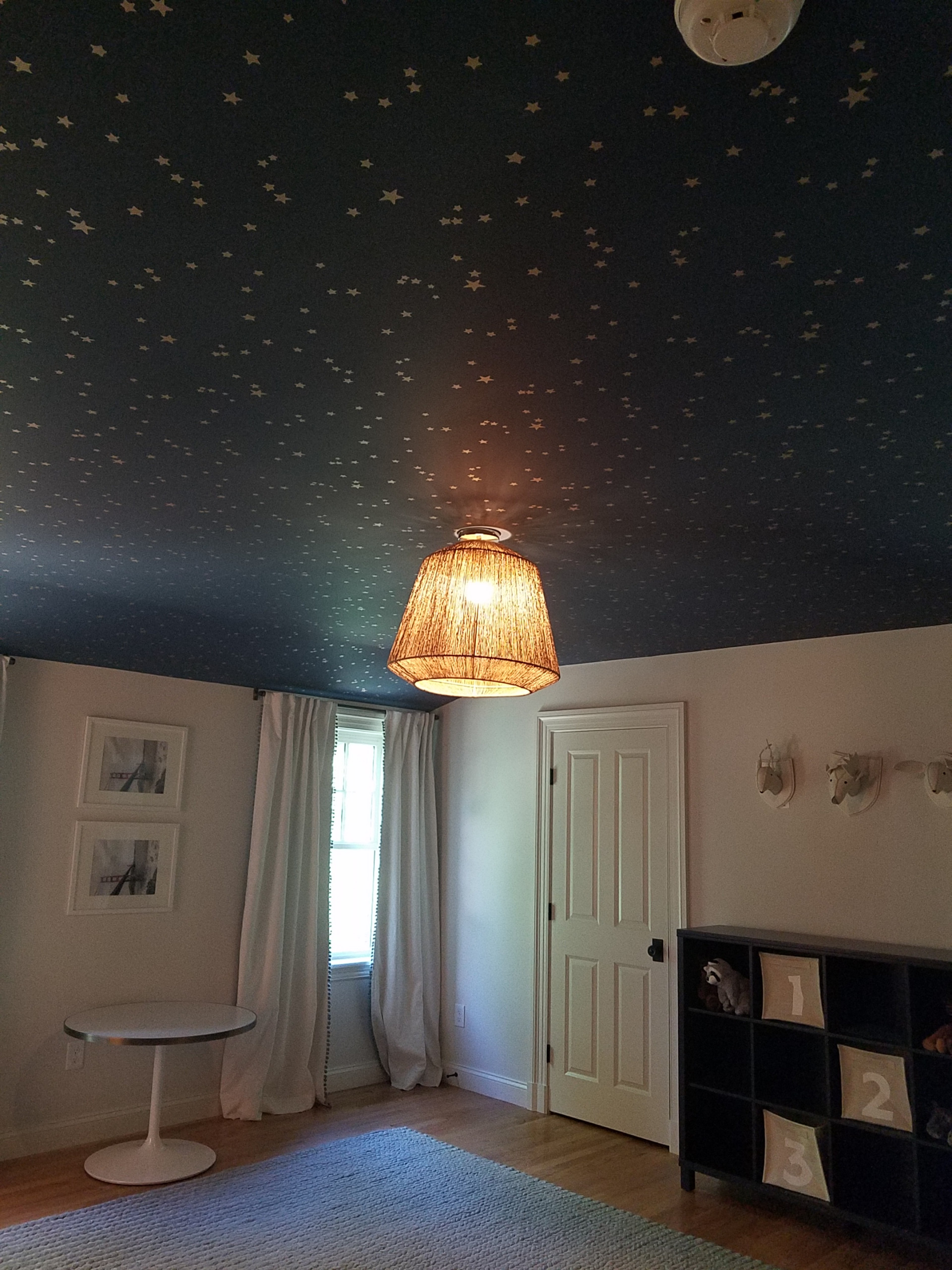 Starry Night Nursery Ceiling | Shelly Lighting