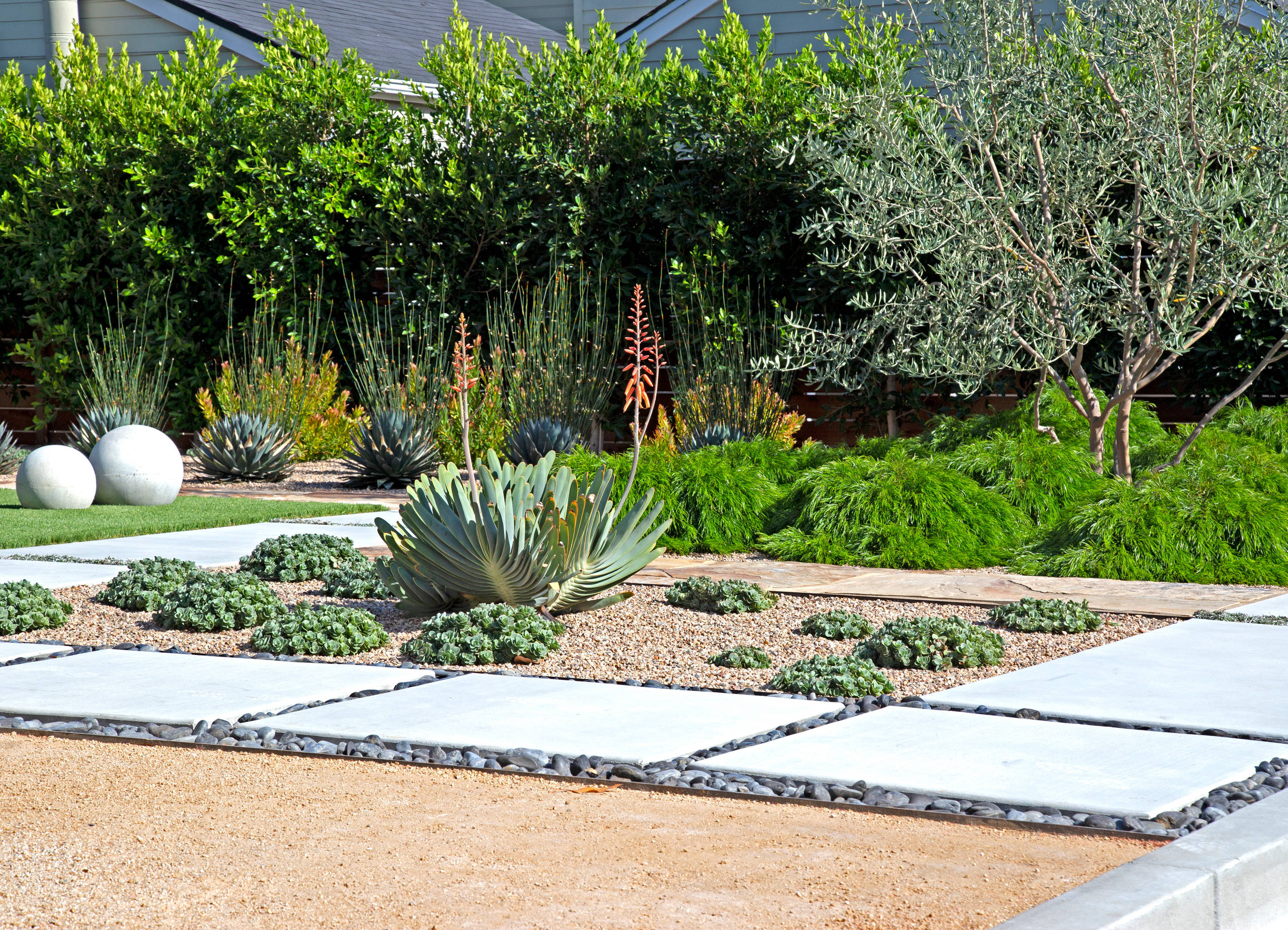 Decomposed Granite Ideas