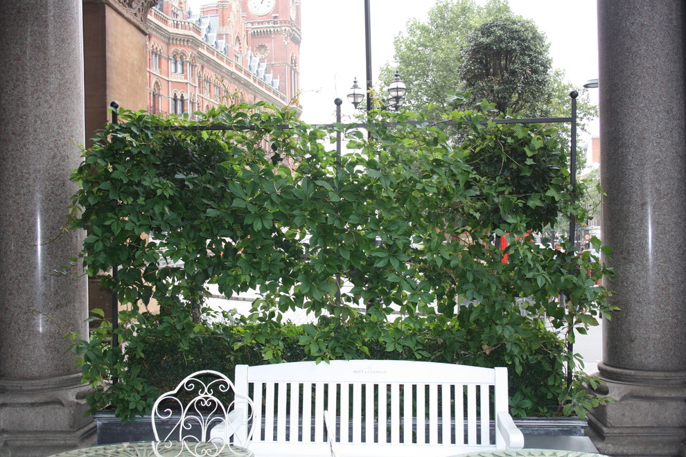 Bespoke Espalier Style Fence Frames ARC-175 - Traditional - Patio ...