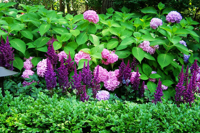 9 Plants That Channel Pantone’s Color of 2014