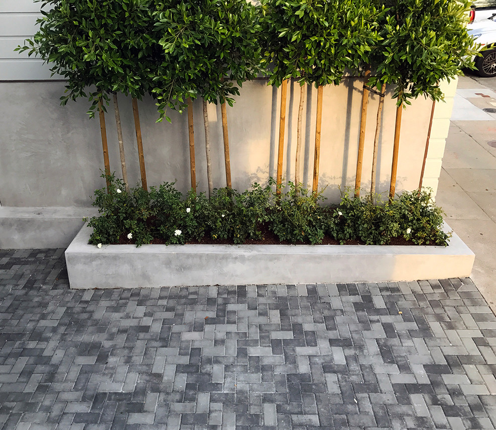 Clay Street - Contemporary - Patio - San Francisco - by LANDIBLE ...
