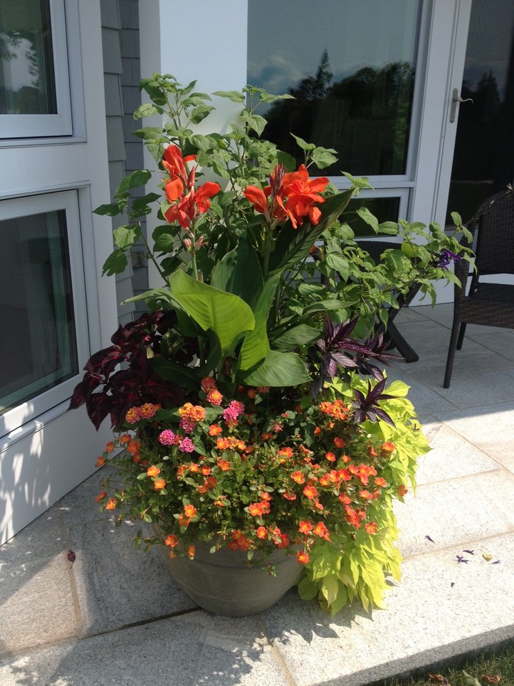 Container Gardens - Traditional - Patio - Bridgeport - by Christensen ...