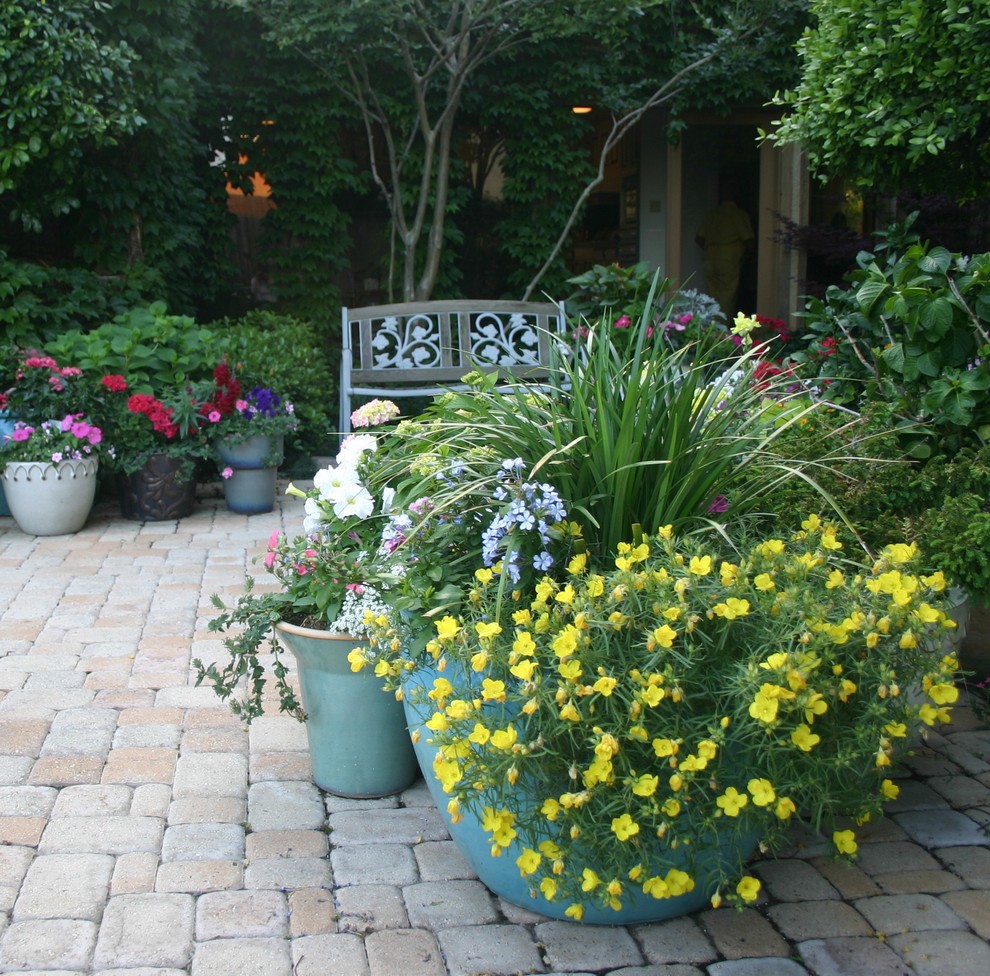Containers - Mediterranean - Patio - Dallas - by Gardens for Texas ...