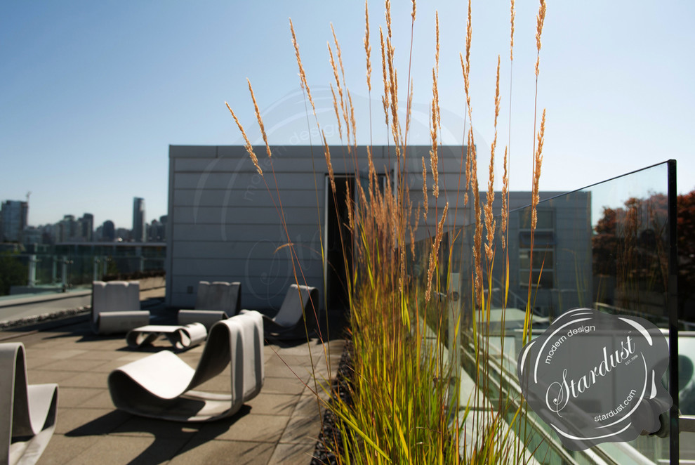 Contemporary Modern Rooftop Garden Design with Modern Outdoor Chairs ...