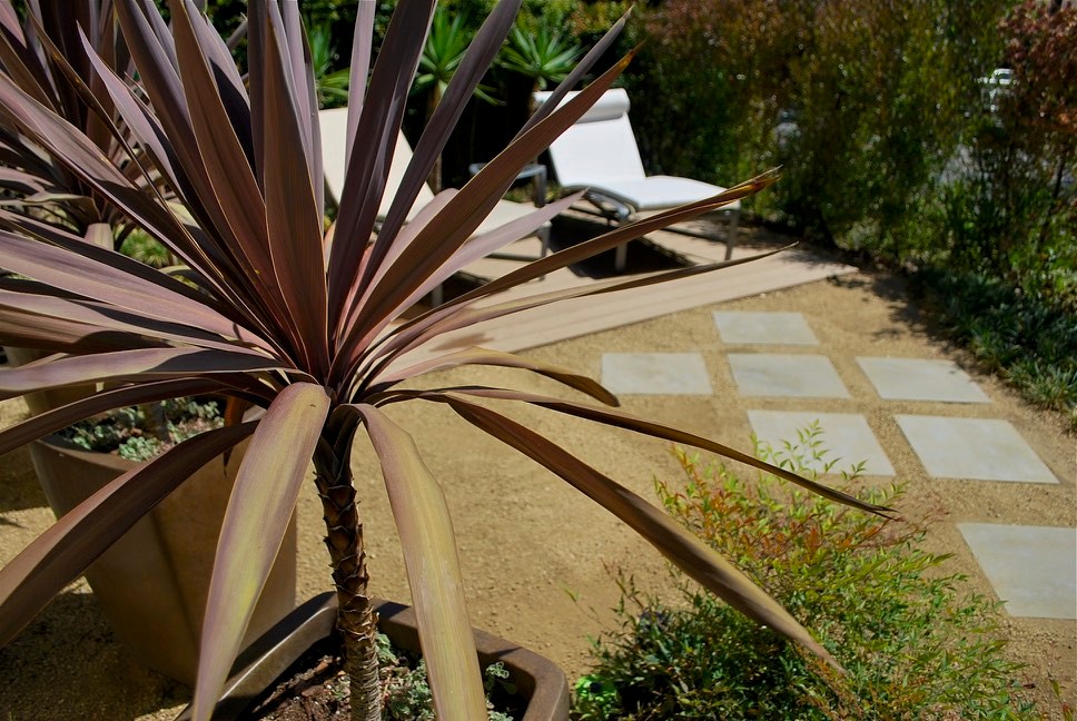 Decomposed Granite with diamond-pattern paver placement - Contemporary ...