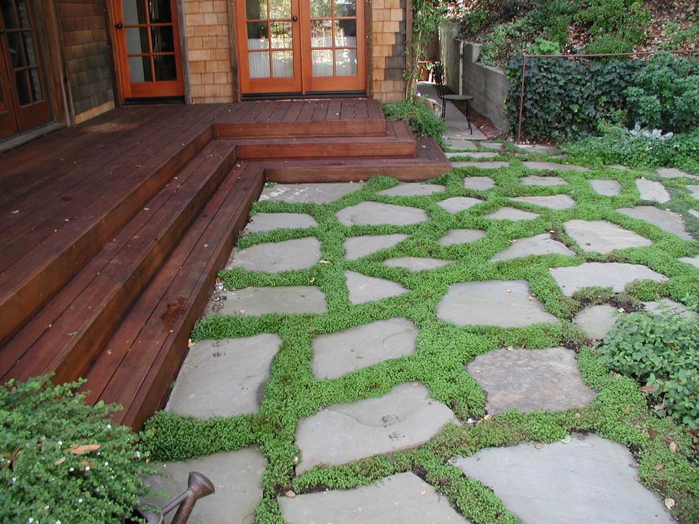 Dry Laid Bluestone Patio with Groundcover - Traditional - Patio - San ...